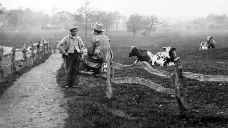 The History of Allotments - Lansdowne Allotments